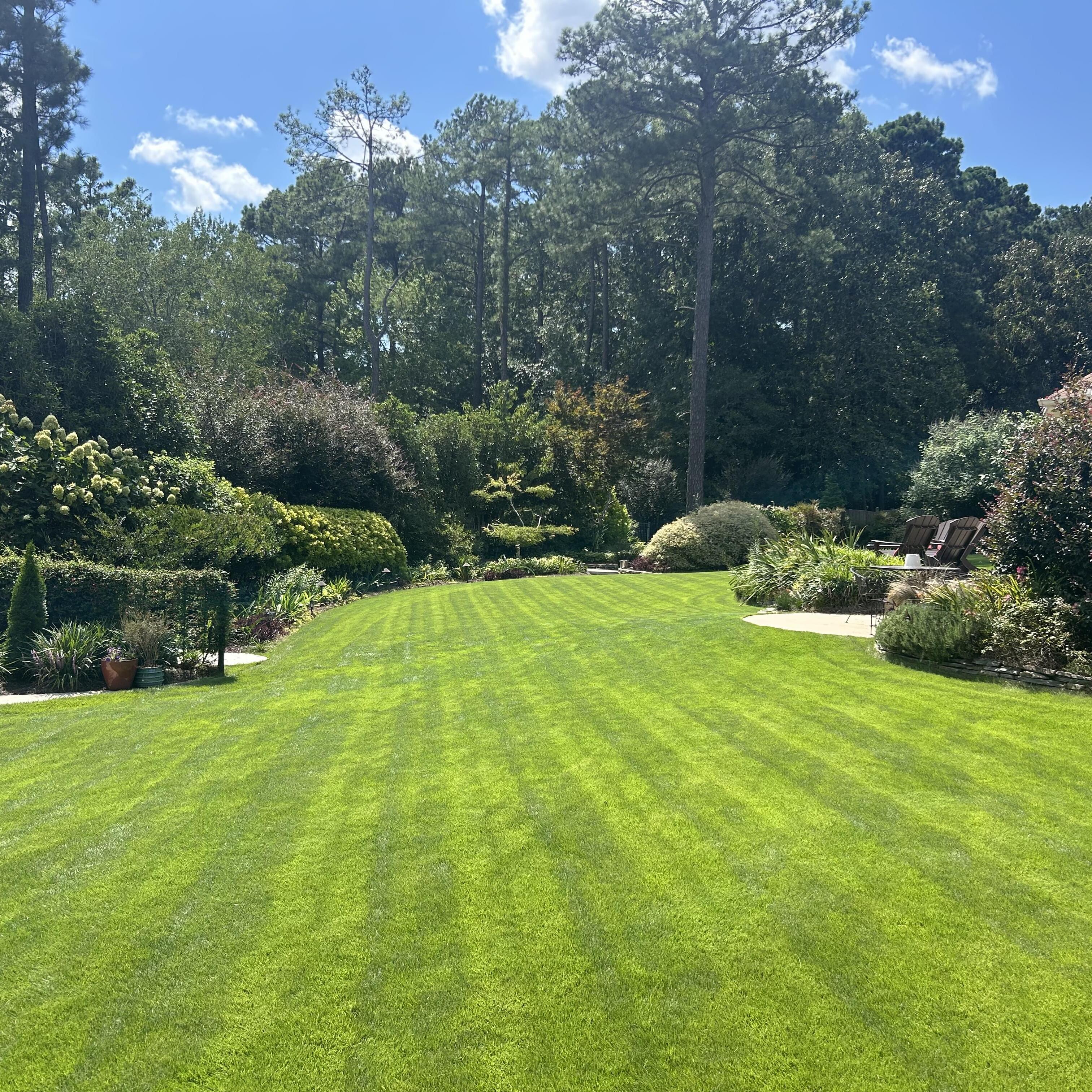 Expert Gardener in Columbia, SC Transforming Outdoor Spaces with ...