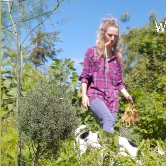 It's all connected ! - Gardener in Cumberland, ON | MeetAGardener.com