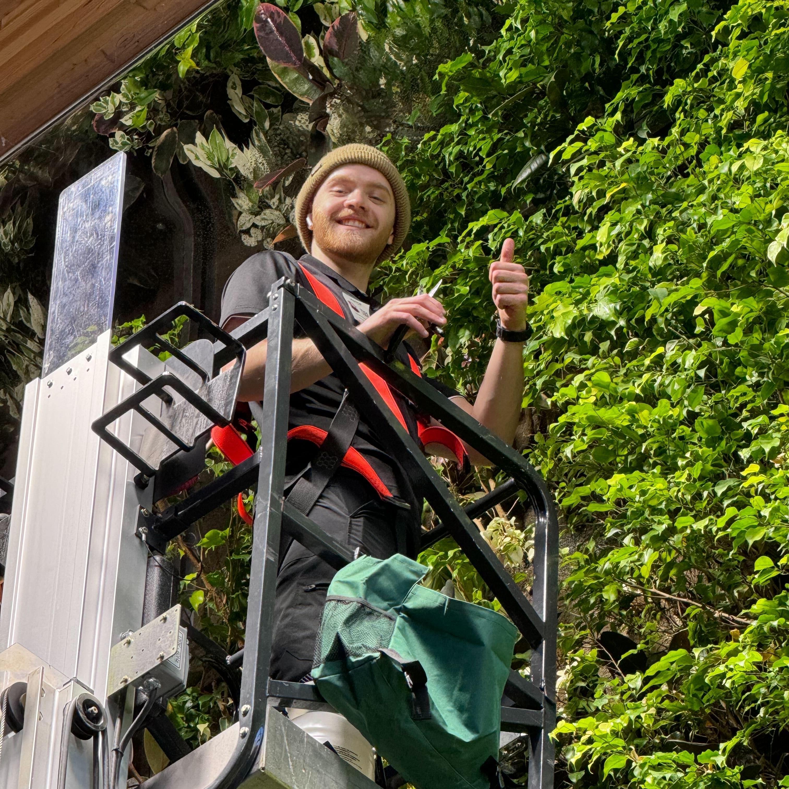 Experienced Kitchener gardener with formal horticultural education and ...