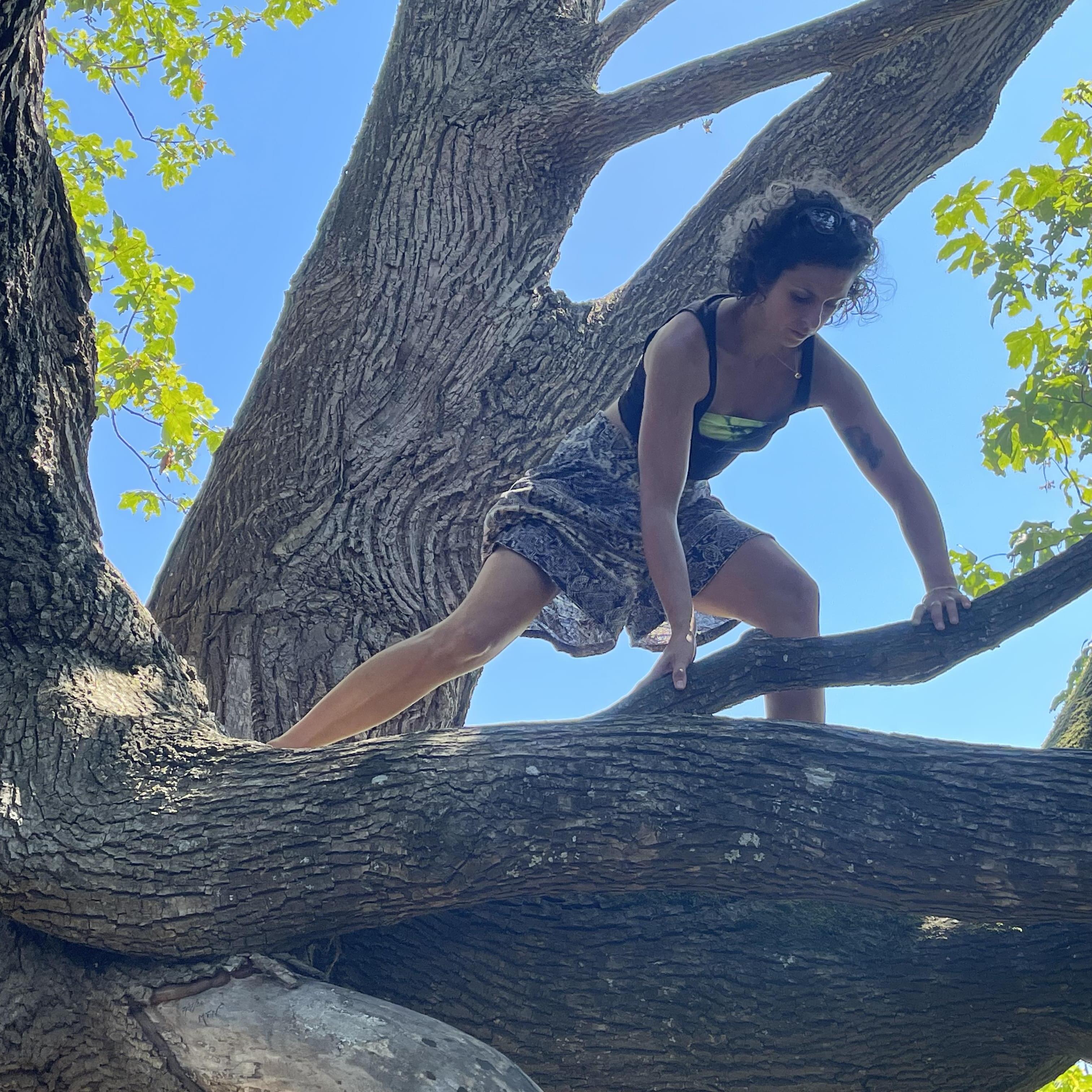 Rose Grows Specialty Gardening work &Plant Design Pruning, Plant Id ...